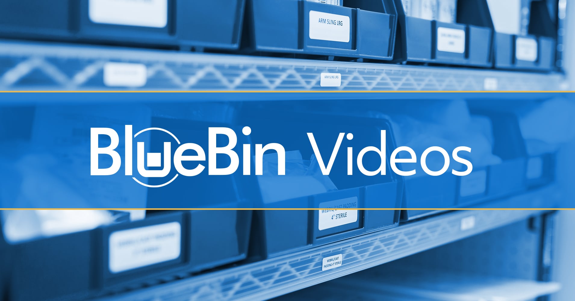 Videos | BlueBin
