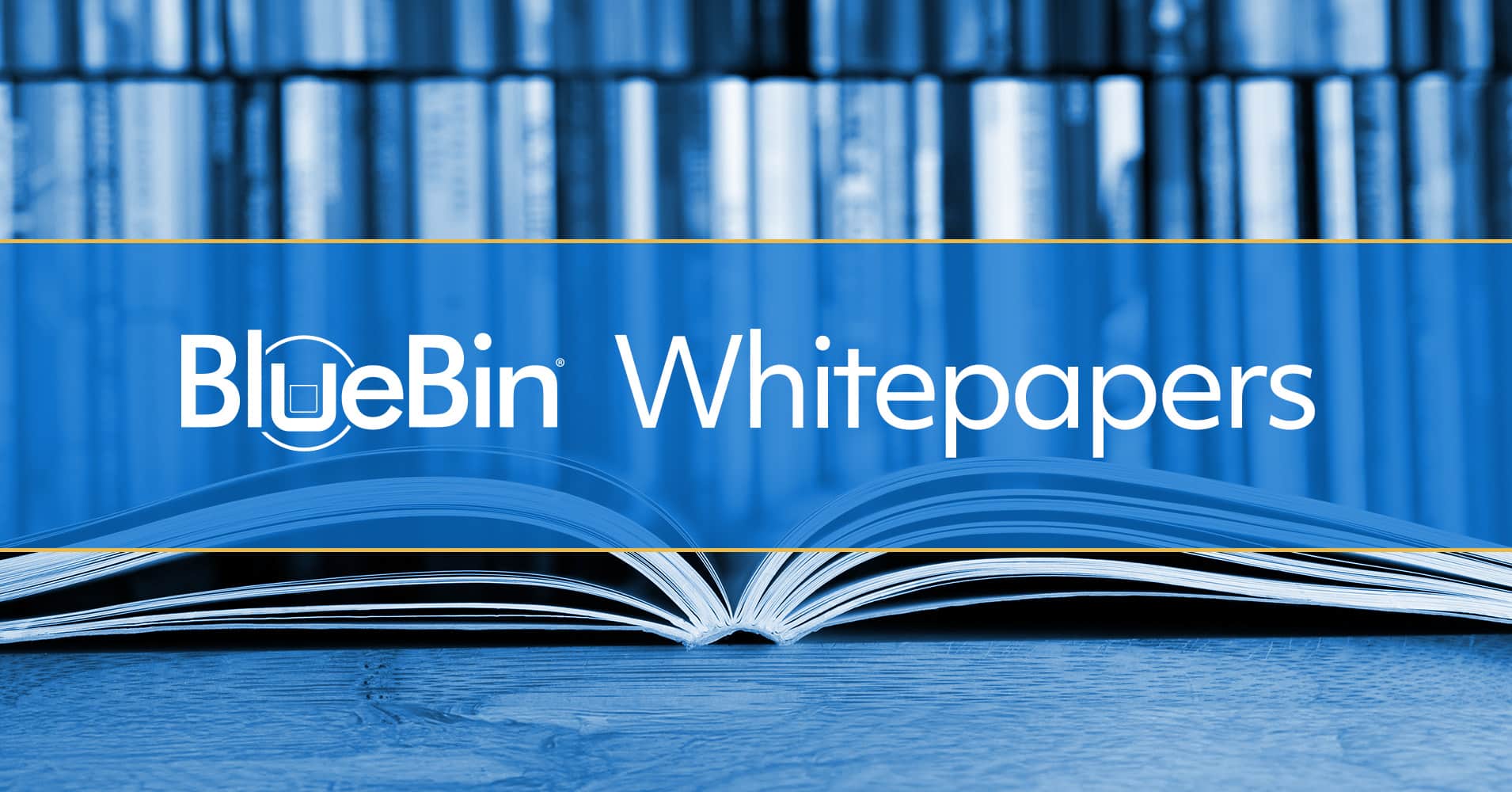 Whitepapers | BlueBin